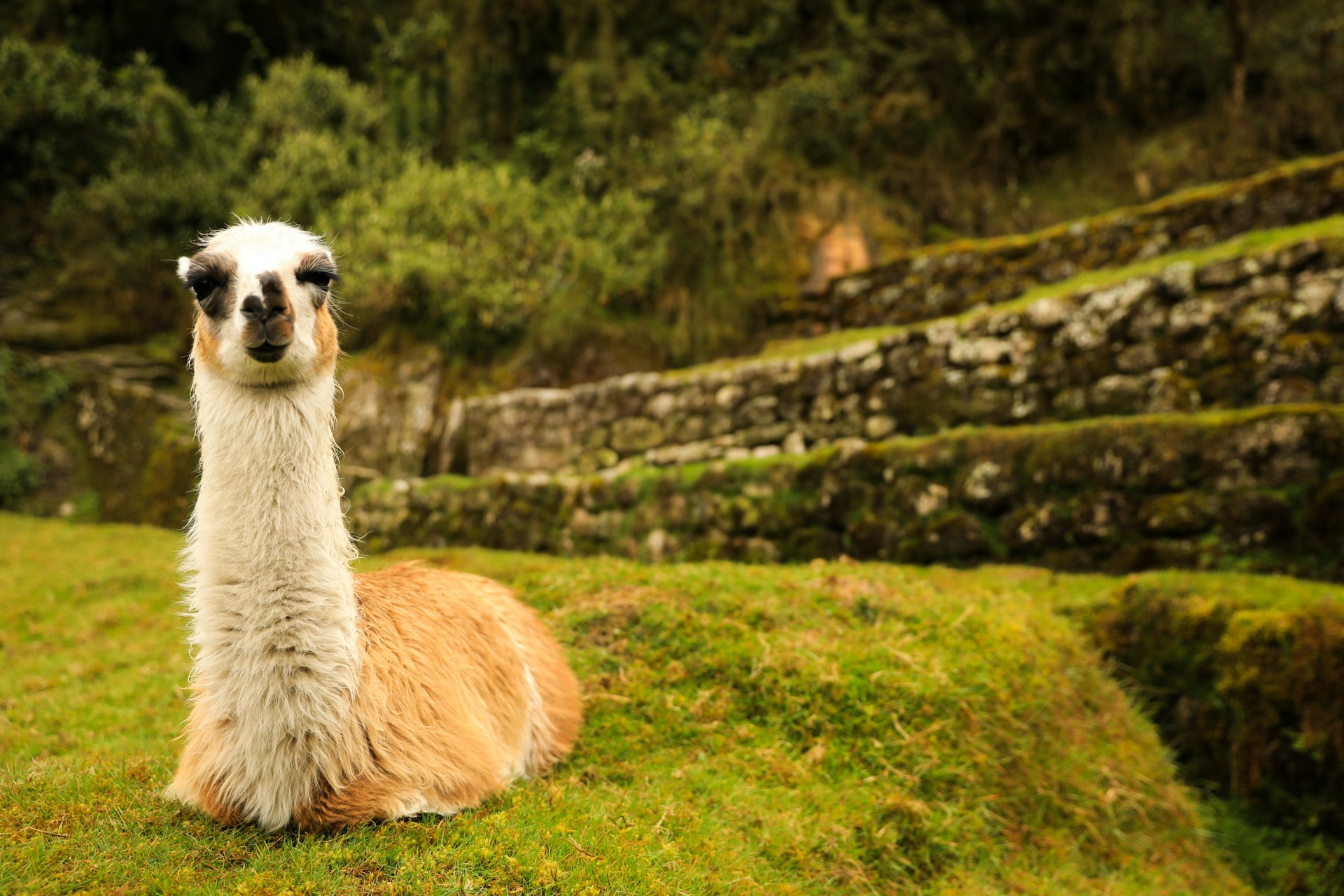 Best Time to Visit Peru | Acqua Travels