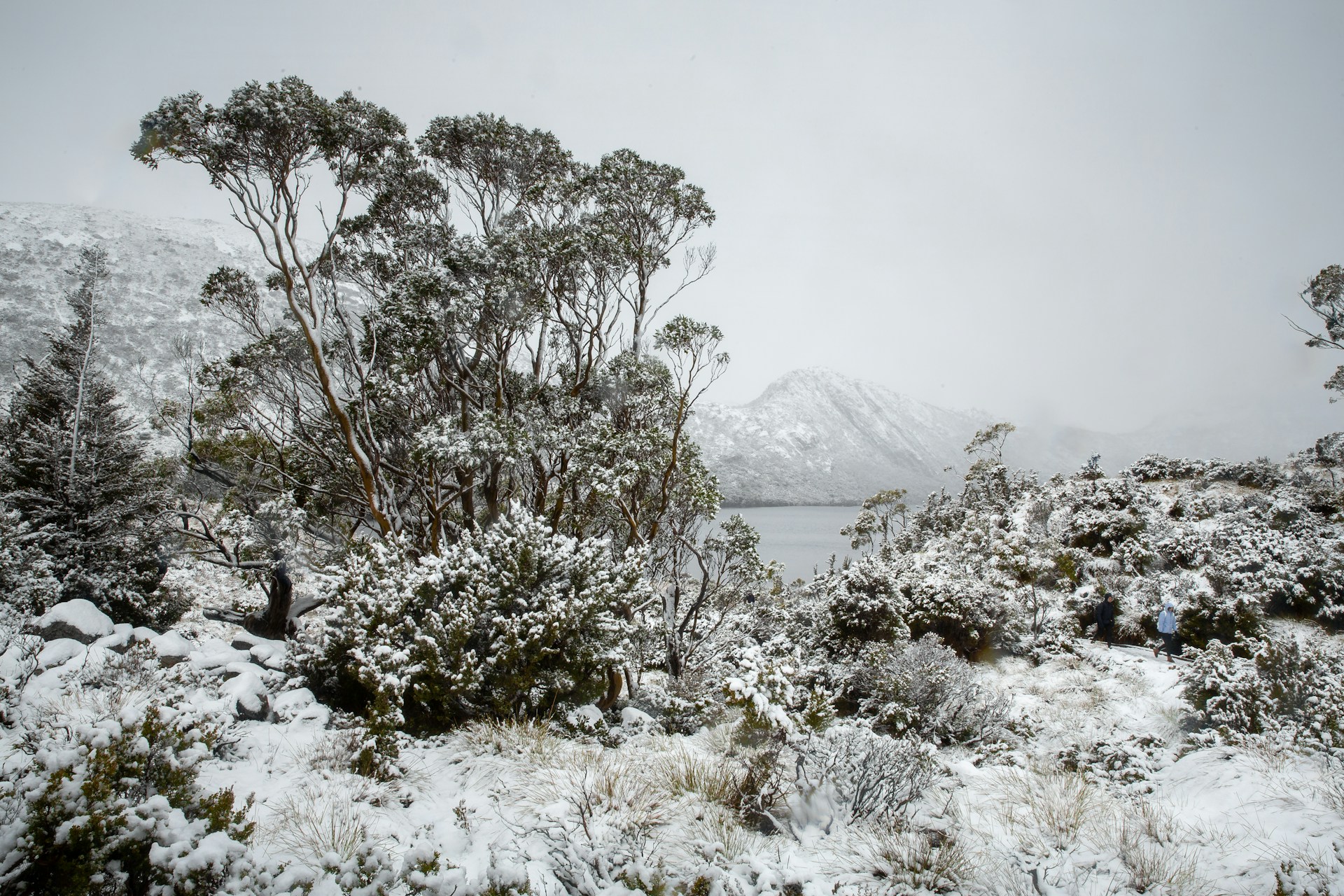 Best Time to Visit Australia | Month-by-Month Guide | Acqua Travels