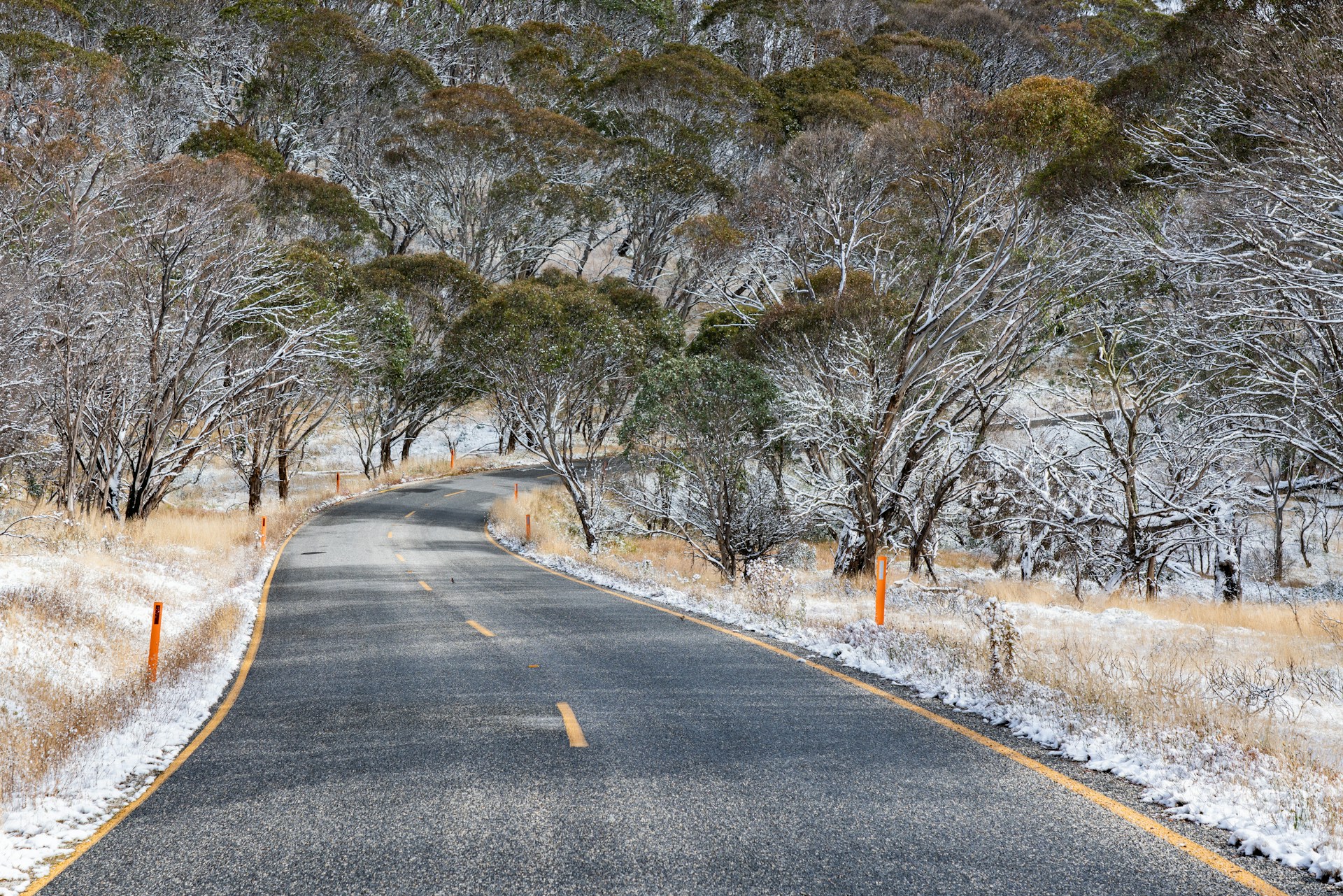 Best Time to Visit Australia | Month-by-Month Guide | Acqua Travels