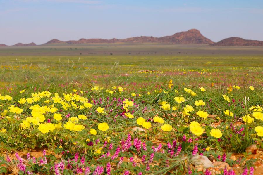 Best Time to Visit Namibia | Month by Month Guide | Acqua Travels