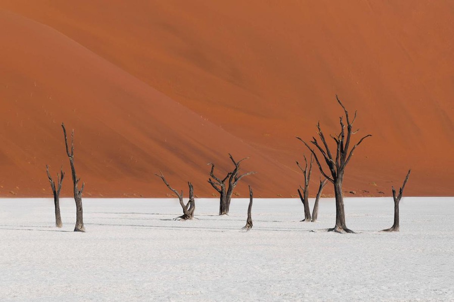 Best Time to Visit Namibia | Month by Month Guide | Acqua Travels