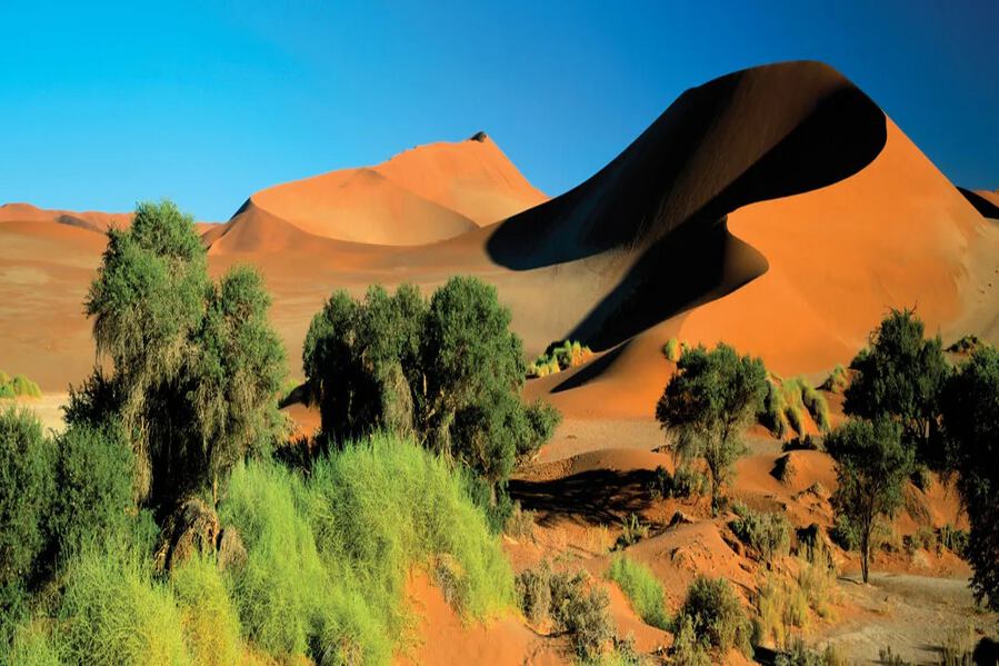 Best Time to Visit Namibia | Month by Month Guide | Acqua Travels