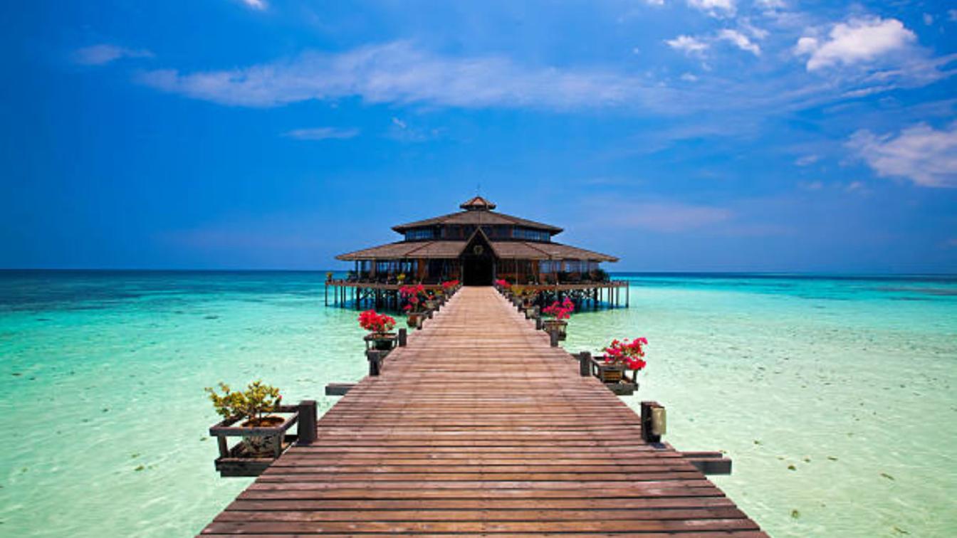 Borneo Orangutan Expedition with Gaya Island | Acqua Travels