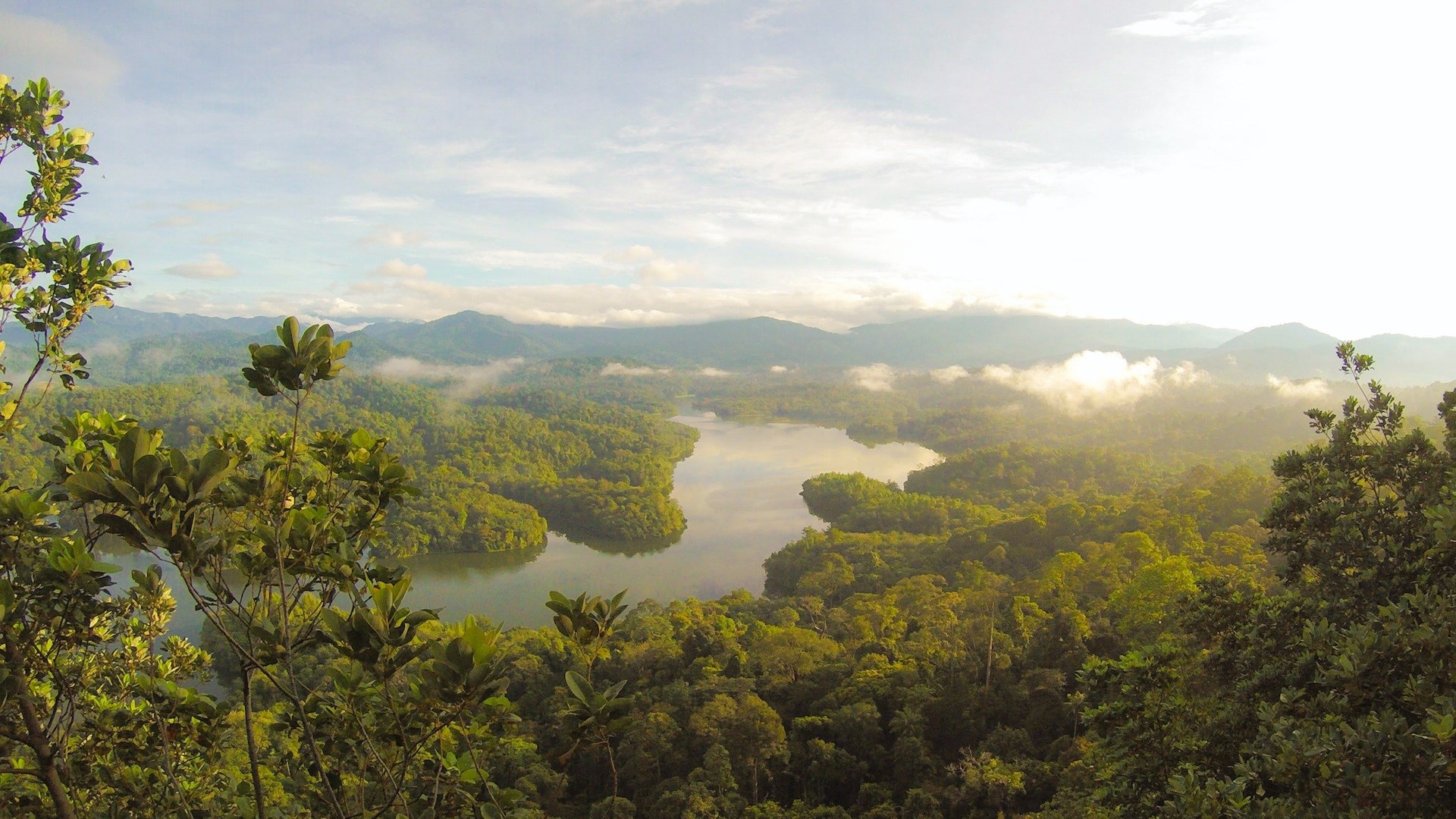 Danum Valley Expedition | Acqua Travels