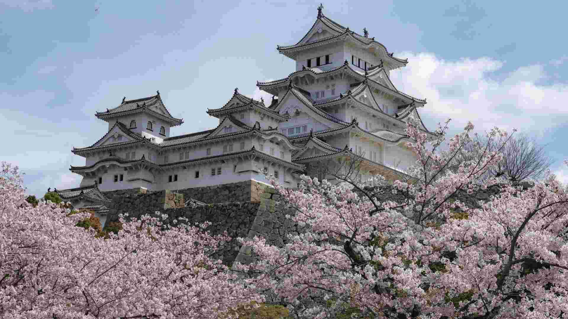 Highlights of Japan | Acqua Travels