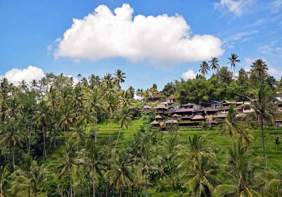 Bali Escape | Acqua Travels