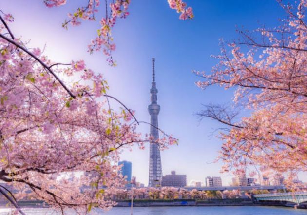Highlights of Japan | Acqua Travels