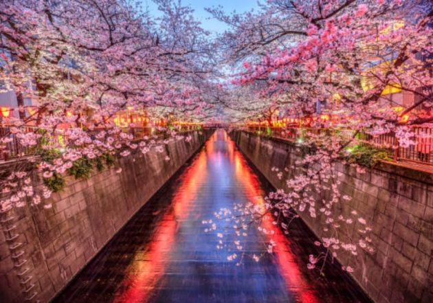 Highlights of Japan | Acqua Travels