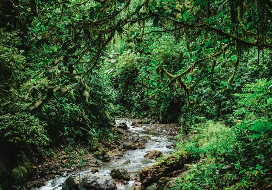 Volcano, Jungle and Beaches | Acqua Travels